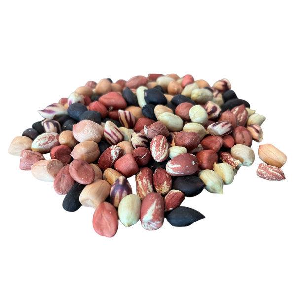 Raw Rainbow Peanuts (Organic, In-Shell, Canadian-grown) – U-RAAW ...